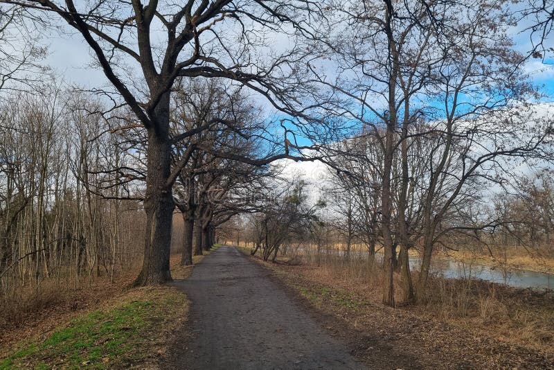 A Cloudy Spring Day in the Park. Hiking Trail. Stock Photo - Image of ...