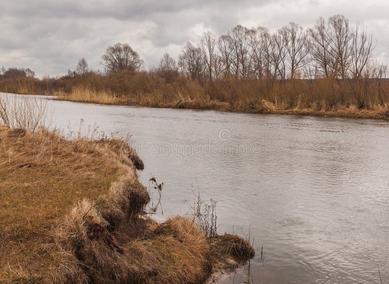 Cloudy Spring Day in Polesie Stock Image - Image of march, gray: 184708243