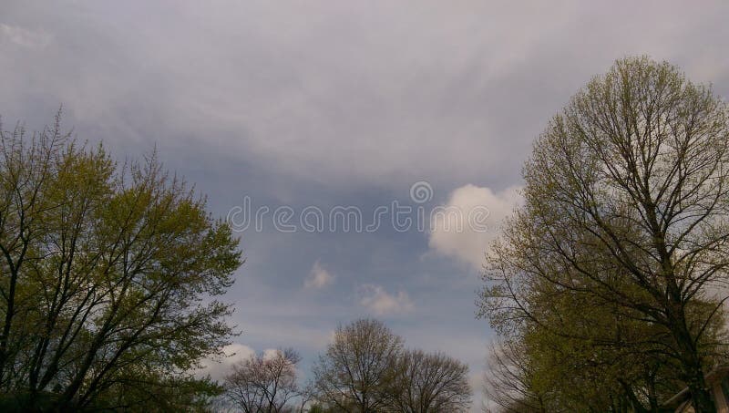 Cloudy spring stock image. Image of tree, early, spring - 127756439