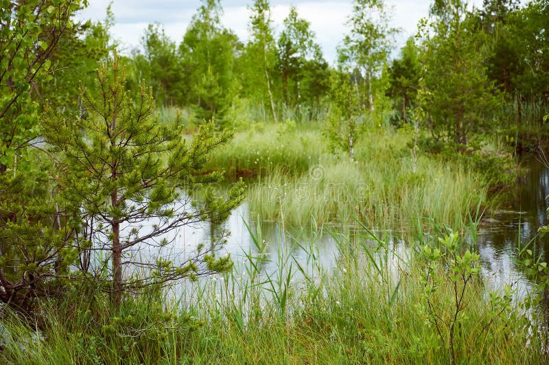 Cloudy Spring Summer Day at Moscow Region Stock Photo - Image of ...