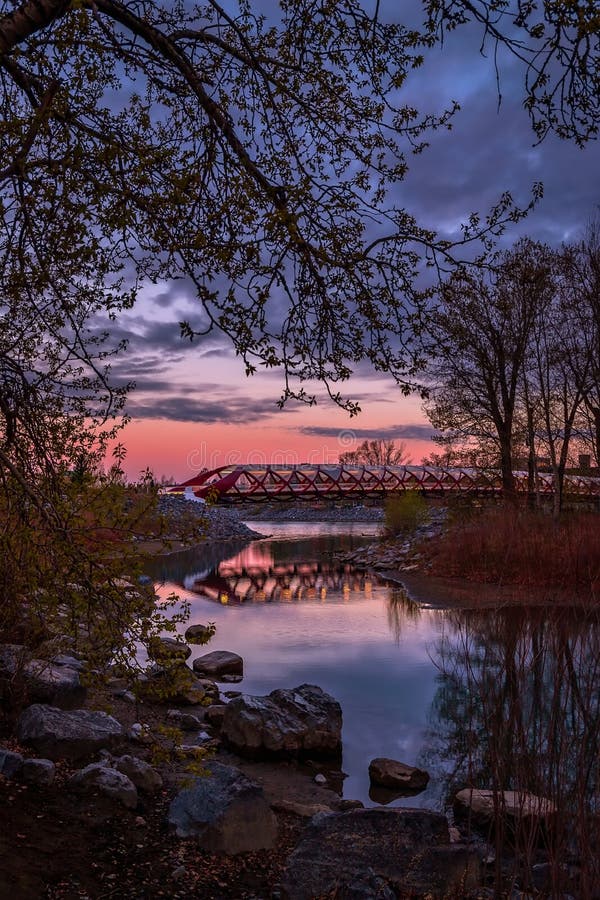 Branches Framing the Peace Bridge at Sunset Editorial Stock Image ...