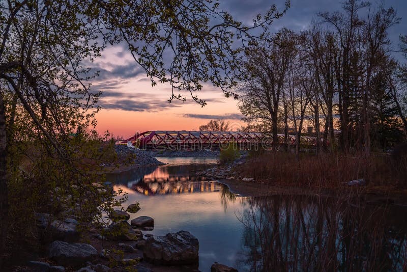 Branches Framing the Peace Bridge at Sunset Editorial Stock Photo ...