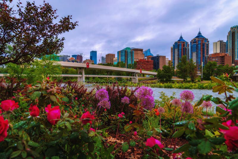 Summer Views by the Downtown Bow River Stock Image - Image of summer ...