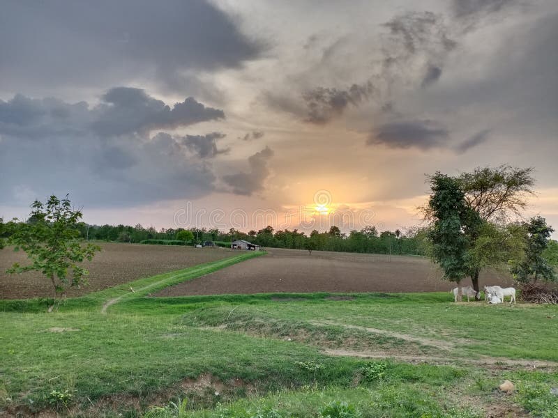 A Cloudy Sunset through the Farm Stock Image - Image of farm, blue ...