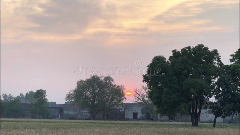 Cloudy Sunset Sky with Wispy Cirrus Clouds and Dreamy Golden Hour Light ...