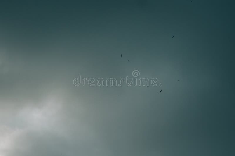 Cloudy, Threatening Sky with Birds. Minimalism and Aesthetics for the Background Stock Photo ...