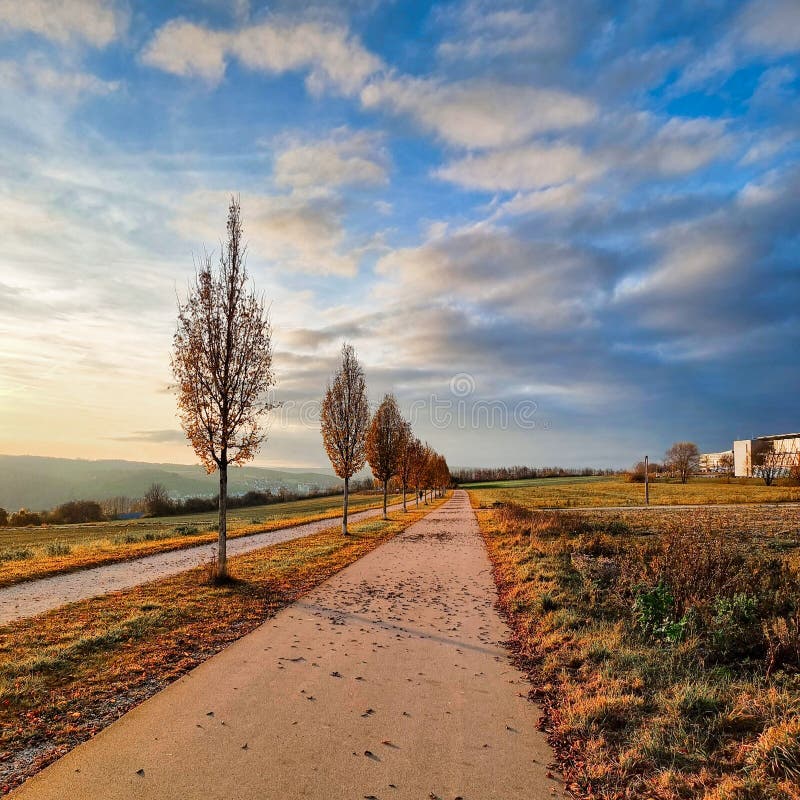 Cloudy Tree Path on the Sunset Stock Photo - Image of sunset, long ...