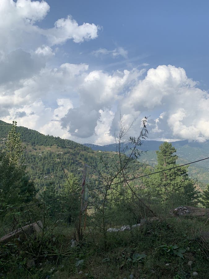 Balakot stock photo. Image of light, tree, balakot, daytime - 220017512