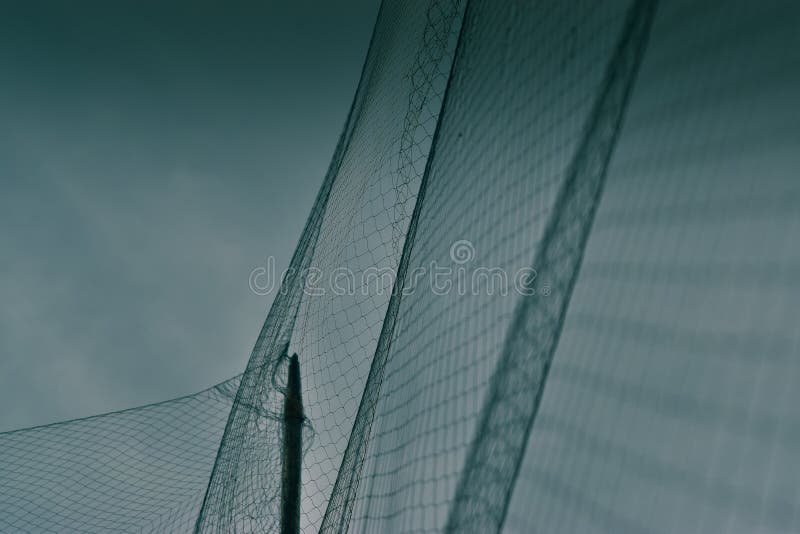 Cloudy Vintage Net stock photo. Image of vintage, cloudy - 259271744