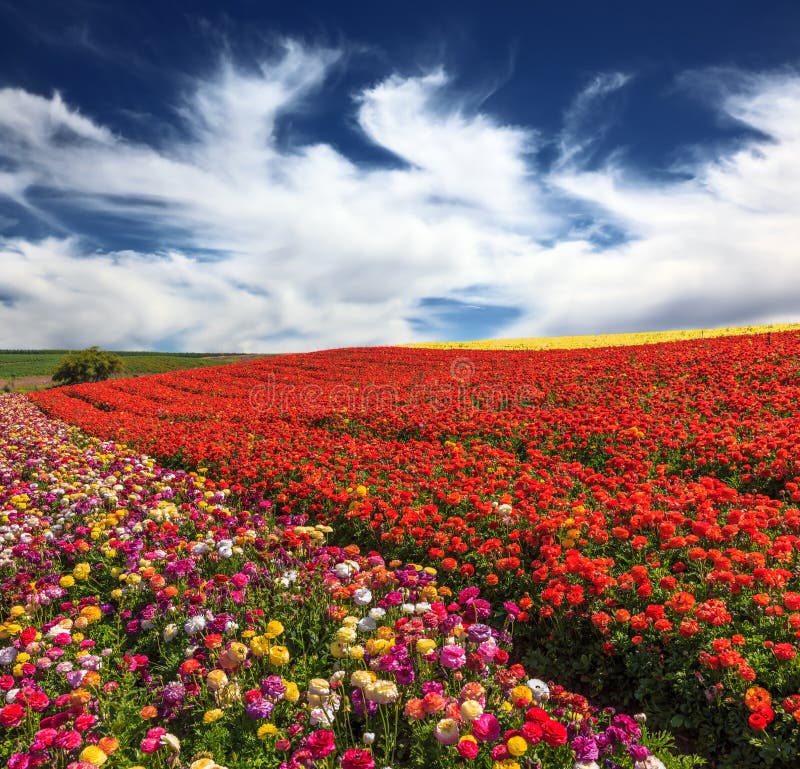Cloudy and Windy Spring Day Stock Image - Image of horizon, clouds ...
