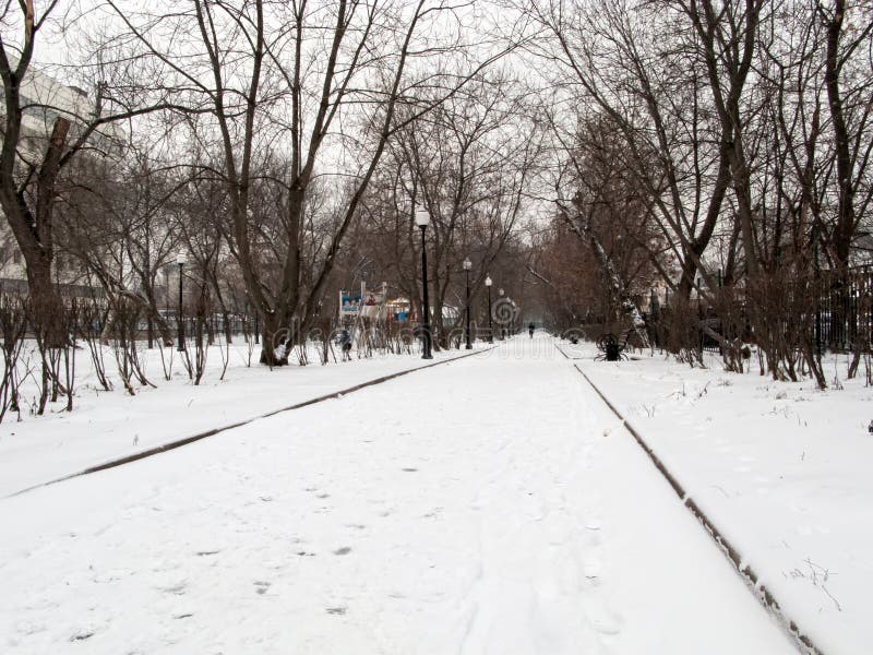 Cloudy Winter Day in the Park Stock Photo - Image of calm, climate ...