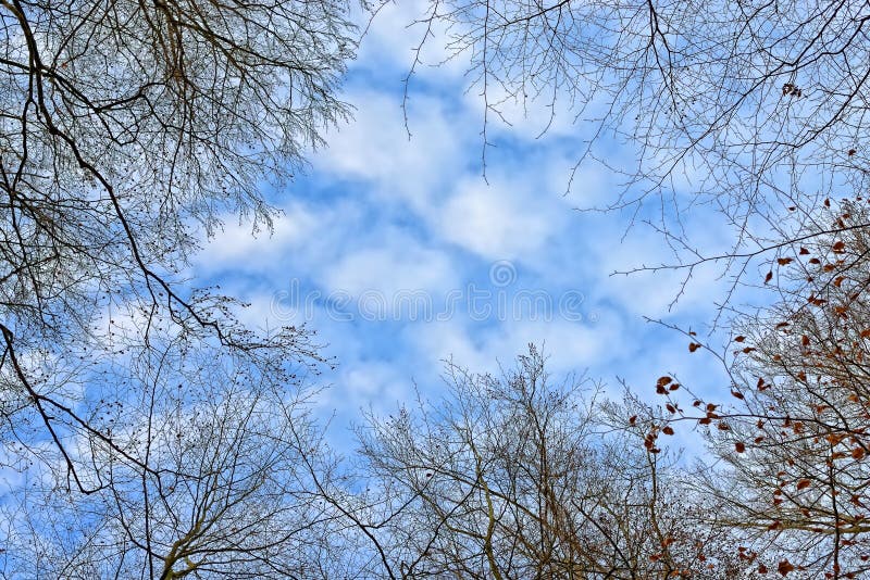 Cloudy winter sky stock photo. Image of season, blue - 48968496