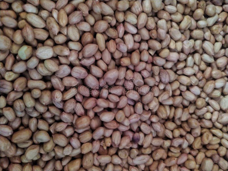 Clouse Up Raw Penuts Peanut Stock Photo - Image of peanut, texture ...