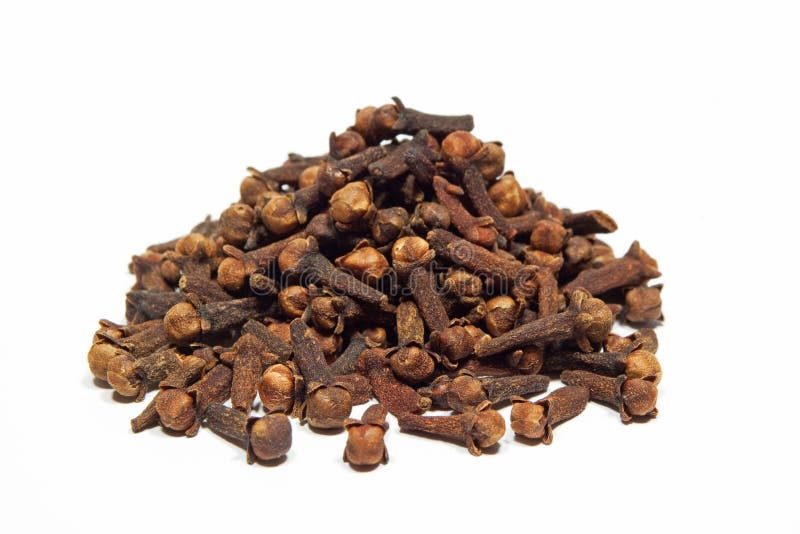 Clove bean fruits stock photo. Image of exotic, shaped - 15533964