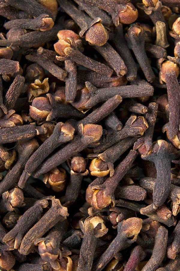 Clove oil stock image. Image of natural, ingredient, background - 28010549