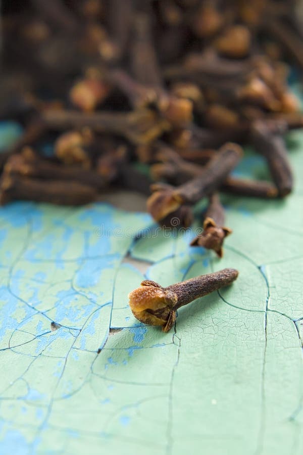 Clove stock photo. Image of culinary, nature, herbal - 25540936