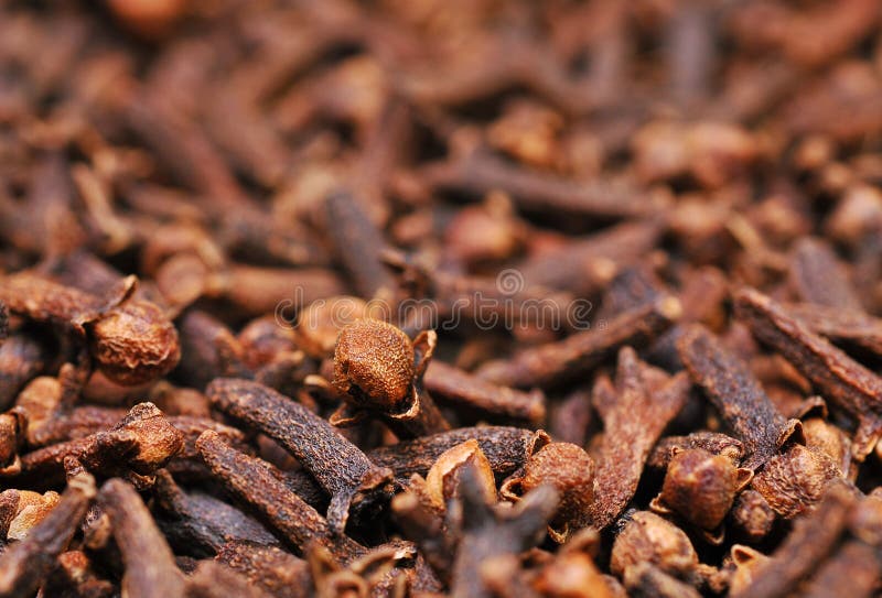 Wine cellars stock image. Image of drinking, barrel, cellars - 2690901