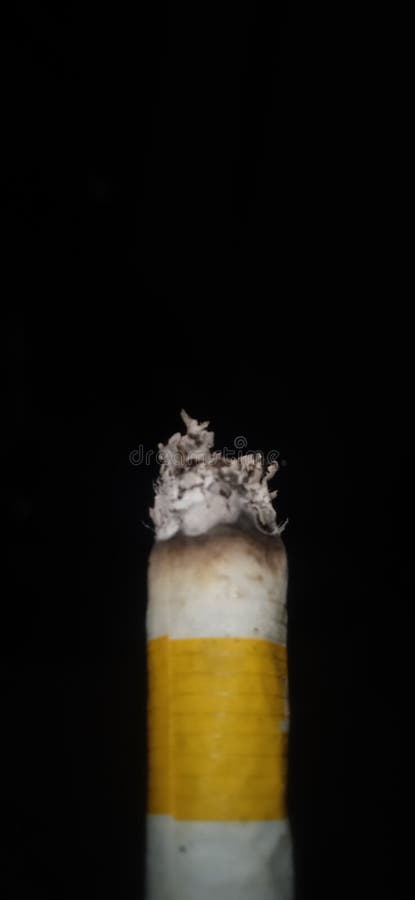 Clove cigarettes at night stock photo. Image of cigarettes - 291057298