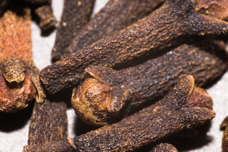 Clove spice stock photo. Image of leaf, food, closeup - 87640964