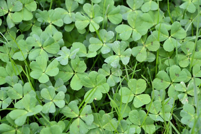 Old photo stock image. Image of message, memory, ancient - 22157403