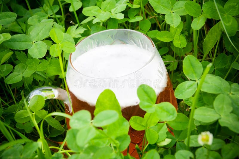 Clover and beer stock image. Image of symbol, traditional - 65420277