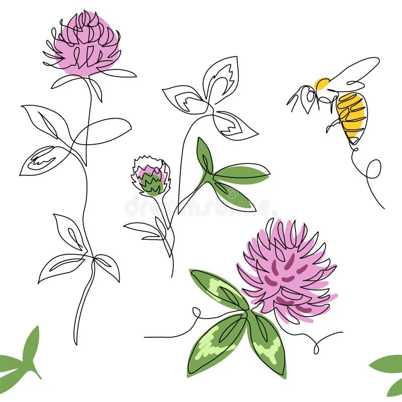 Clover Flowers Vector Pattern with Bee. One Continuous Line Art Drawing ...