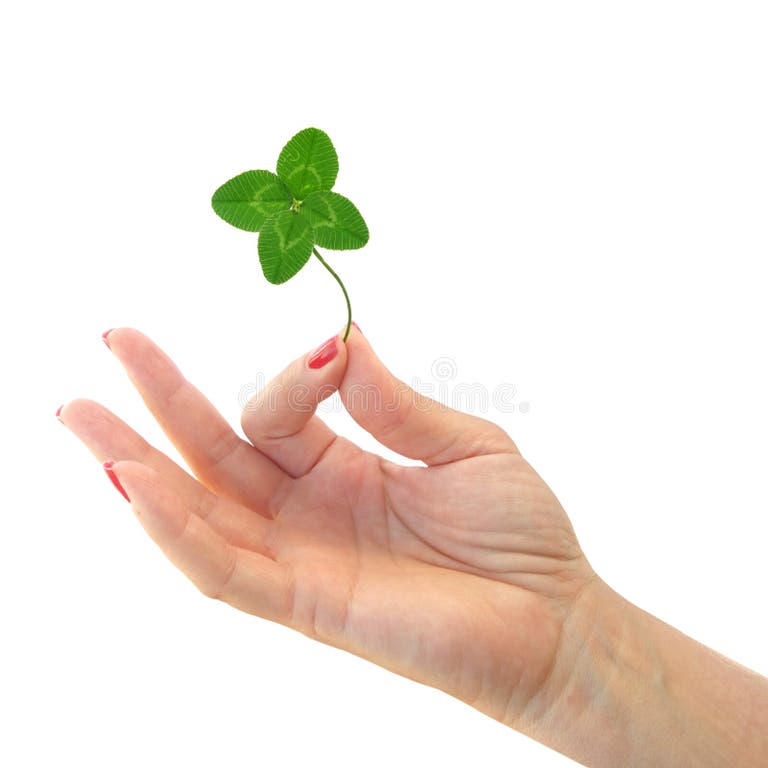 358 Trinity Clover Stock Photos - Free & Royalty-Free Stock Photos from ...