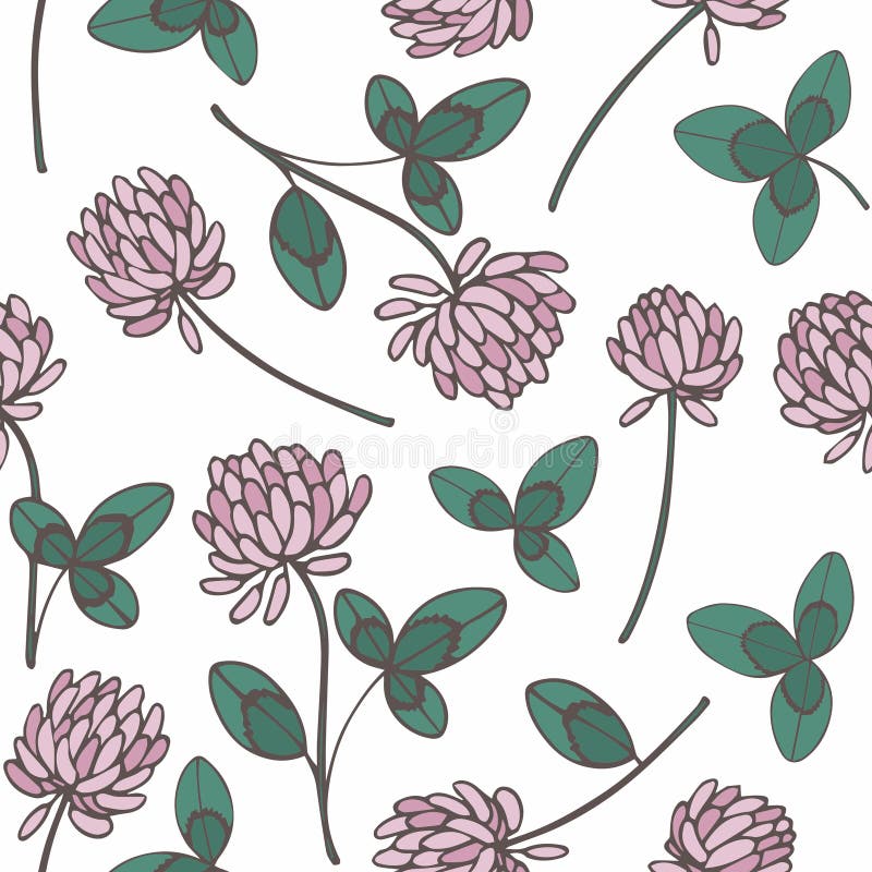 Clover. Hand Drawing. Seamless Pattern on a White Background Stock ...