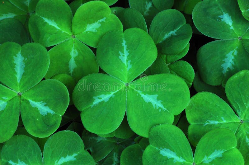 Old photo stock image. Image of message, memory, ancient - 22157403