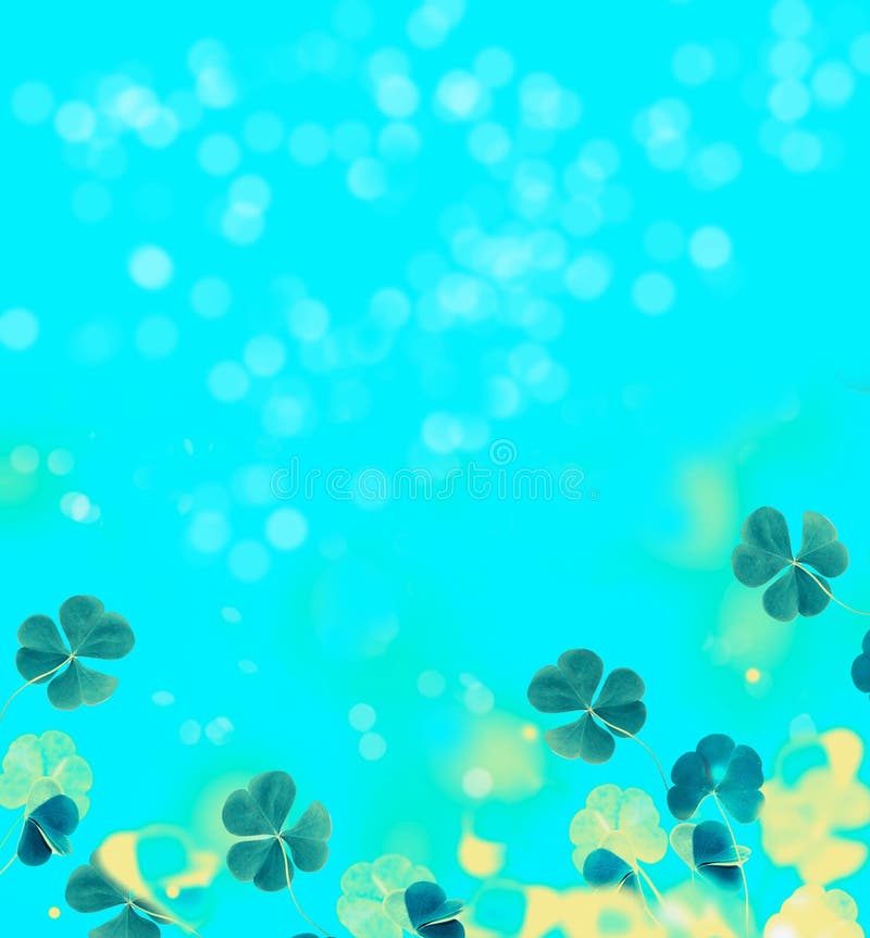 Clover Leaves on a Background Summer Landscape. St Stock Photo - Image ...