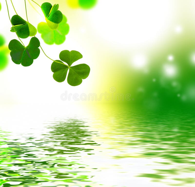 Clover Leaves on a Background Summer Landscape. St Stock Photo - Image ...