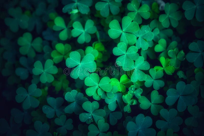 Clover Leaves For Green Background With Three Leaved Shamrocks St
