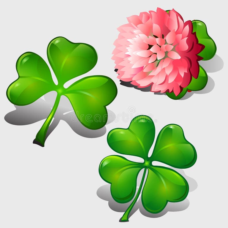 Pink Clover Flower Stock Illustrations – 3,673 Pink Clover Flower Stock ...