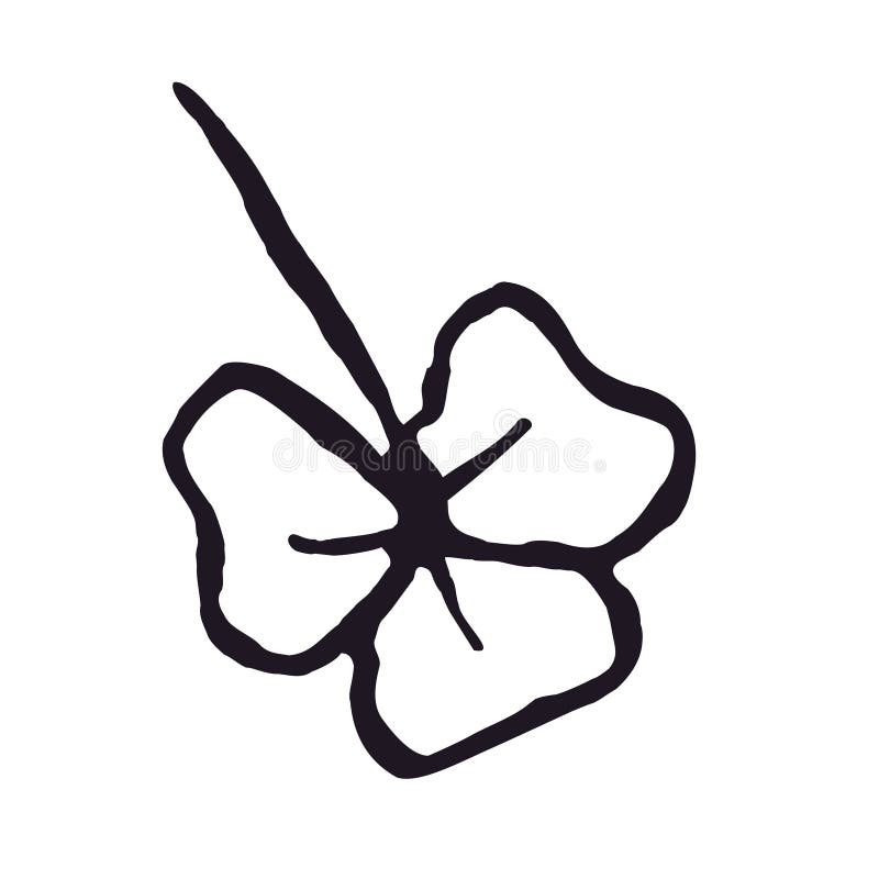 Clover Outline Illustration Stock Vector - Illustration of wild, simple ...