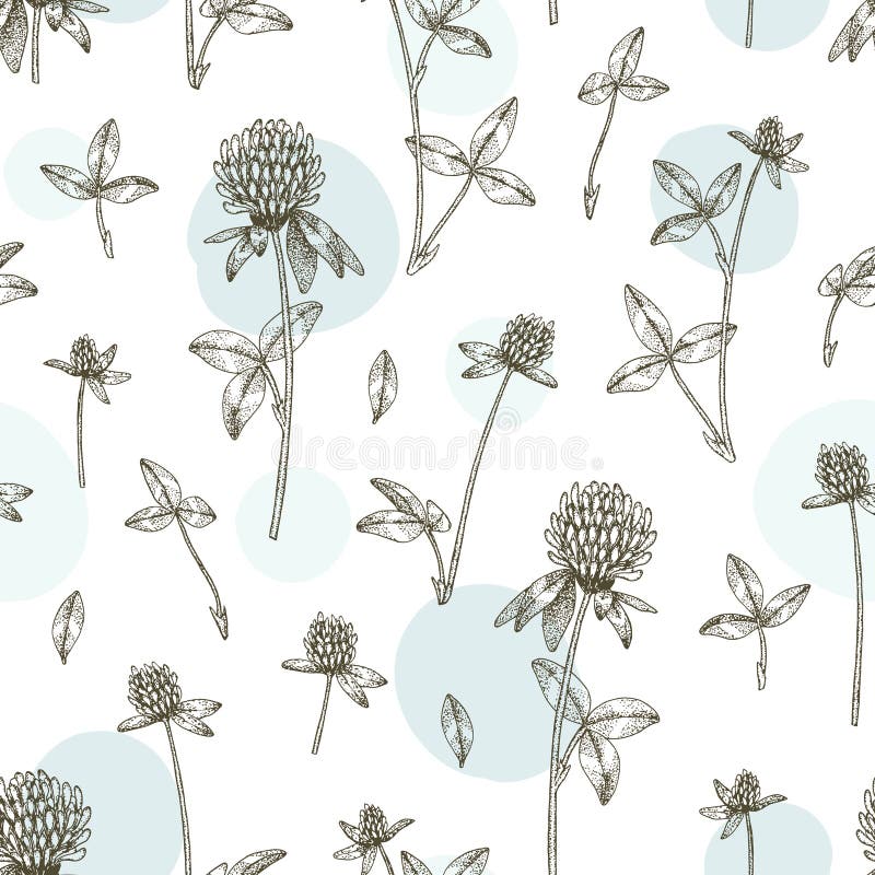 Clover pattern. stock vector. Illustration of herbal - 120779602