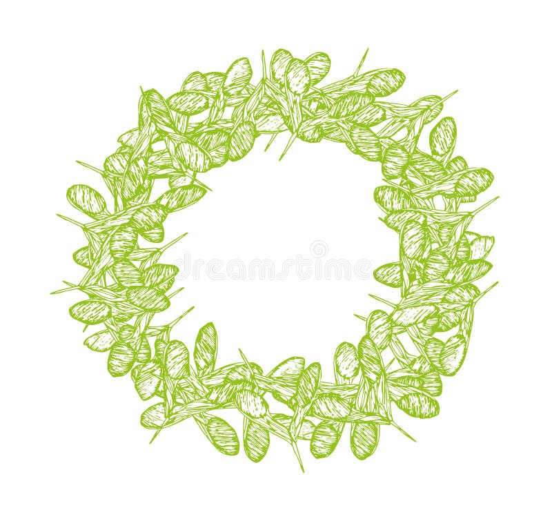 Clover Seeds Round Frame Lime-01 Stock Illustration - Illustration of ...
