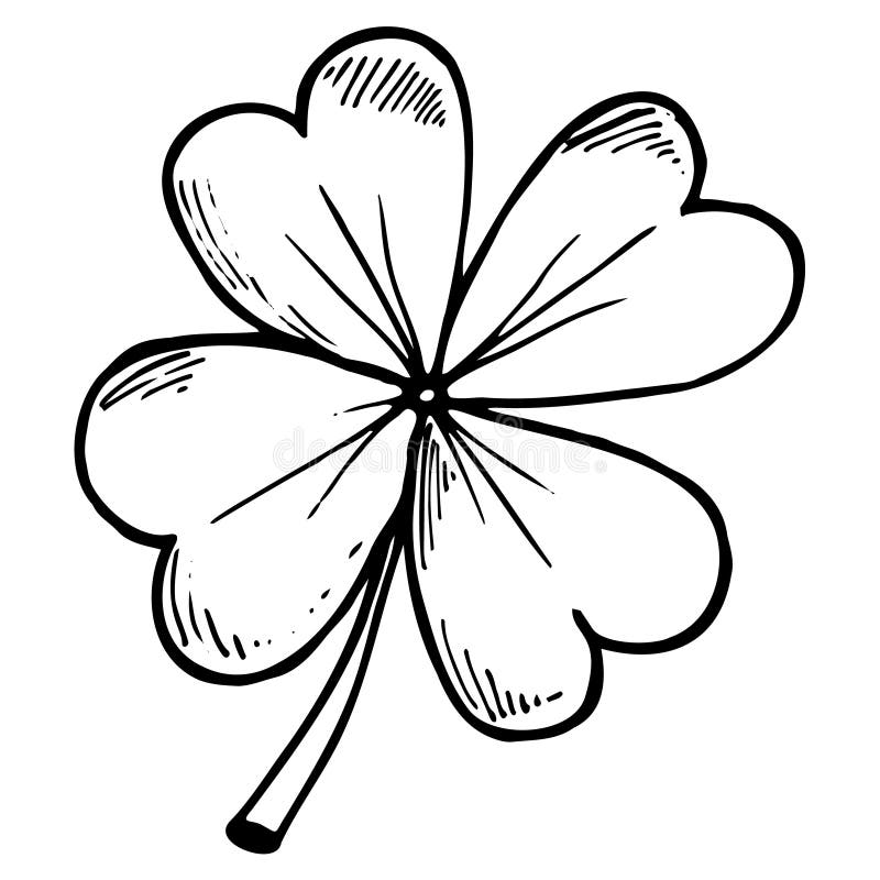 Clover Sketch Illustration. Hand Drawn Four Leaf Clover. Vector ...