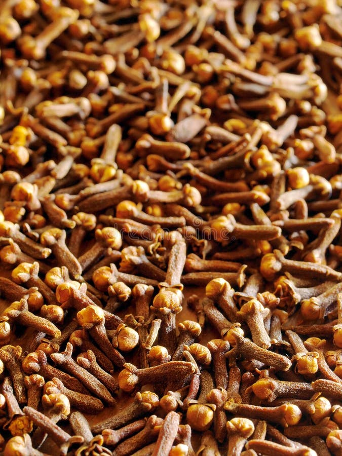 Cloves stock image. Image of cloves, uncooked, spice - 20916485