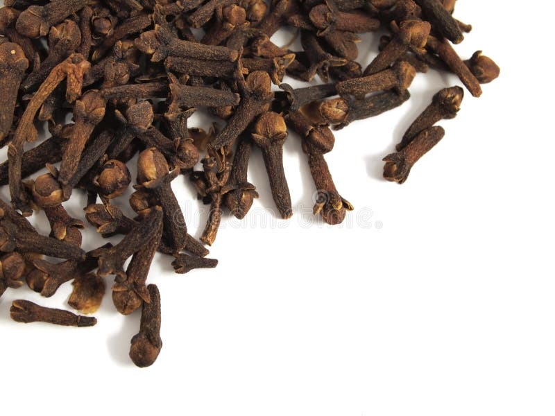 Cloves stock photo. Image of aroma, golden, grain, cook - 3658644