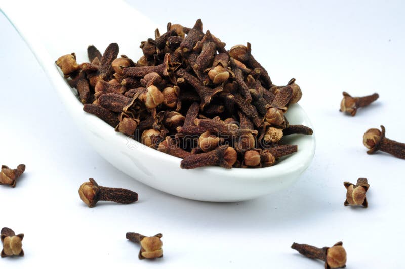 Cloves stock photo. Image of french, brown, condiment - 16735560