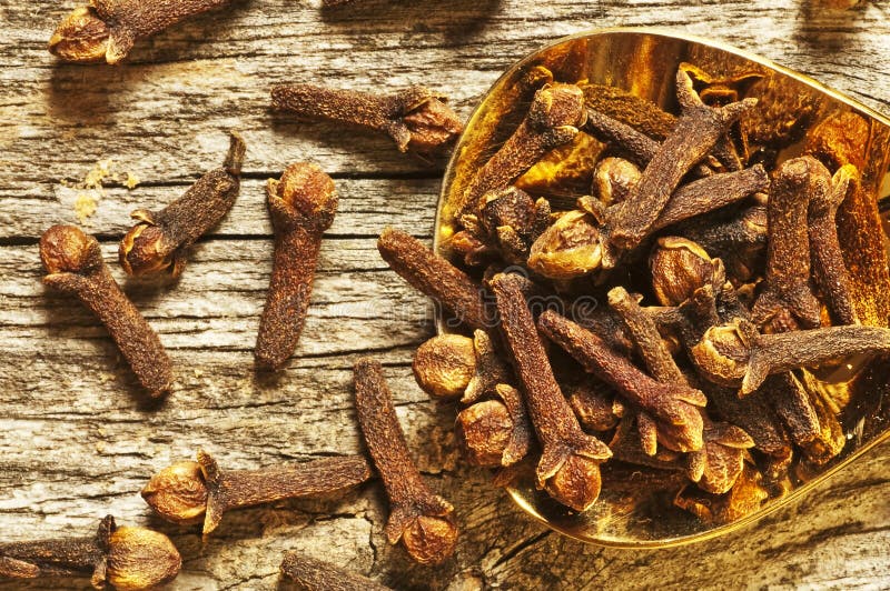 Cloves stock photo. Image of group, healthy, spoon, health - 27823358