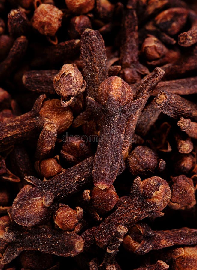 Cloves stock photo. Image of herb, cooking, clove, christmas - 28189384