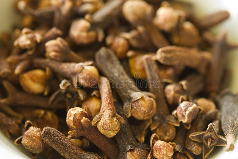 Cloves stock image. Image of spice, exotic, five, macro - 28675503