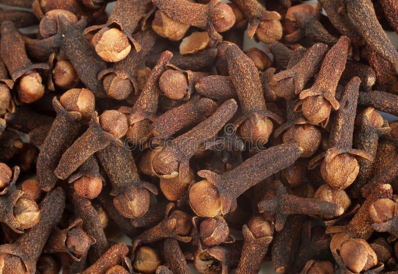 Cloves stock photo. Image of aroma, golden, grain, cook - 3658644