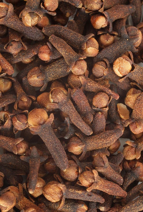Cloves stock photo. Image of fragrant, masala, cloves - 3668078
