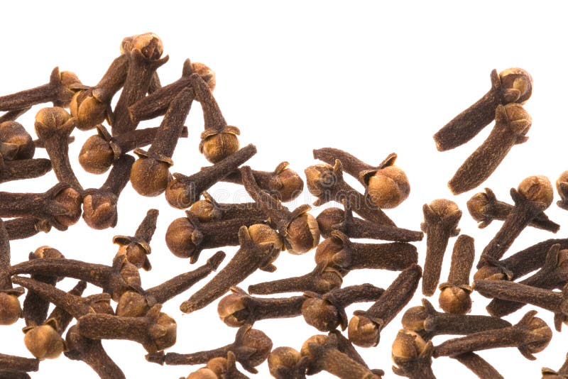 Cloves stock photo. Image of cloves, clove, aromatic, white - 6061610