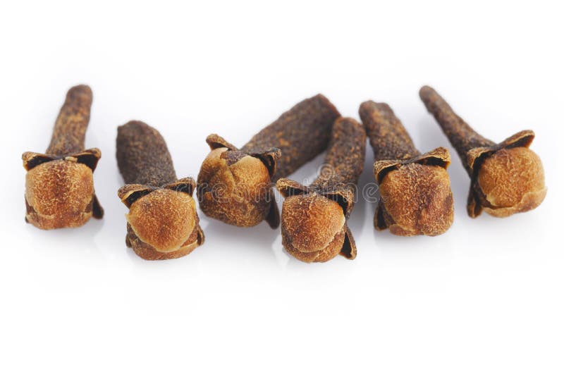 448 Clove Pods Photos - Free & Royalty-Free Stock Photos from Dreamstime