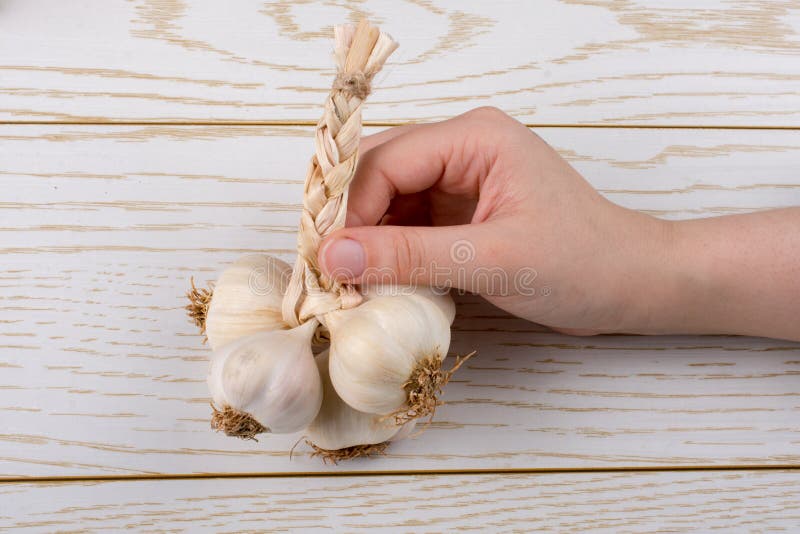 Cloves of Garlic in Hand in View Stock Image - Image of bulb ...