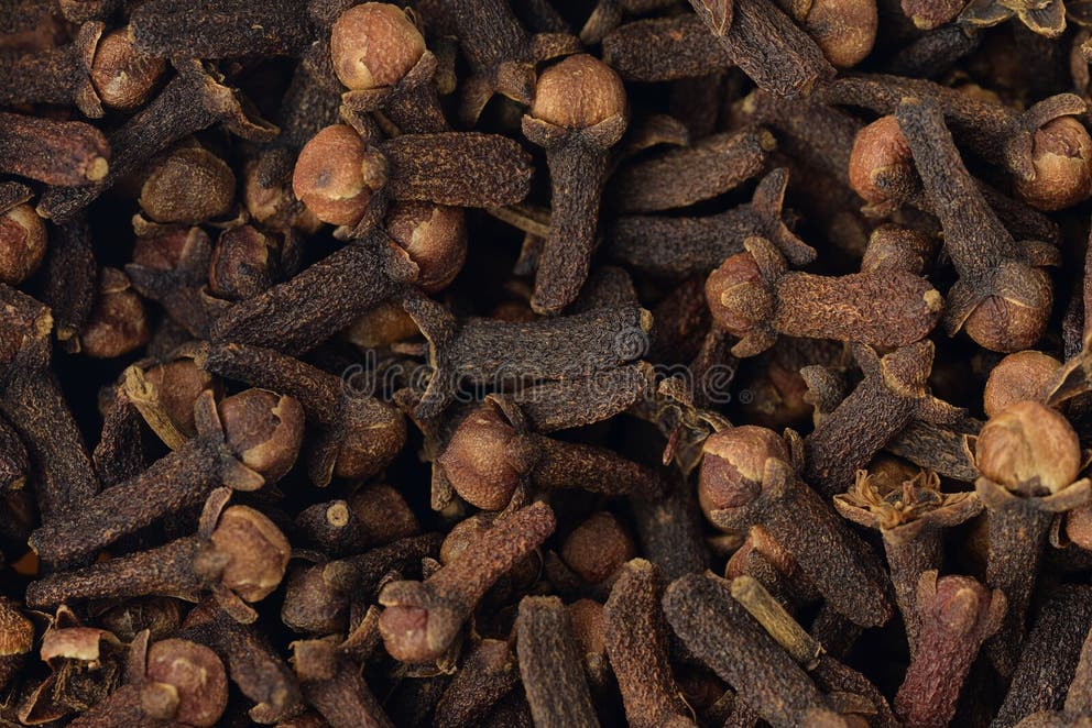 Cloves stock image. Image of macro, scented, east, nnpeople - 62966467