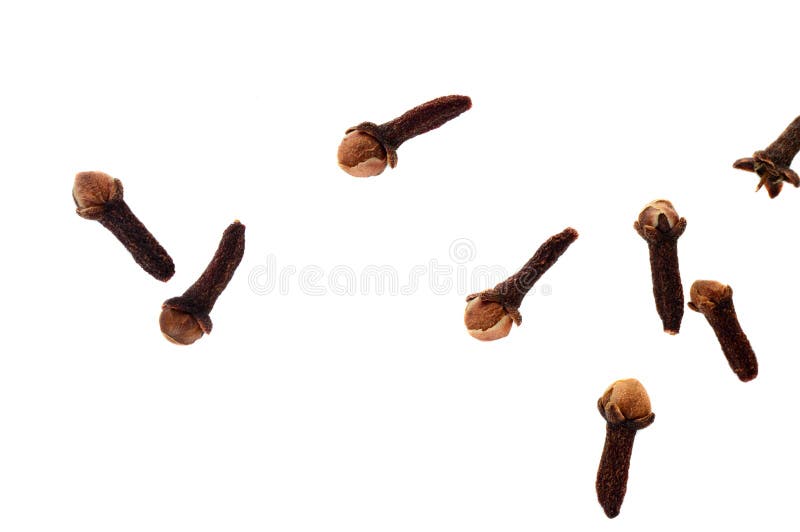 Cloves Isolated on White Background Stock Photo - Image of healthy ...